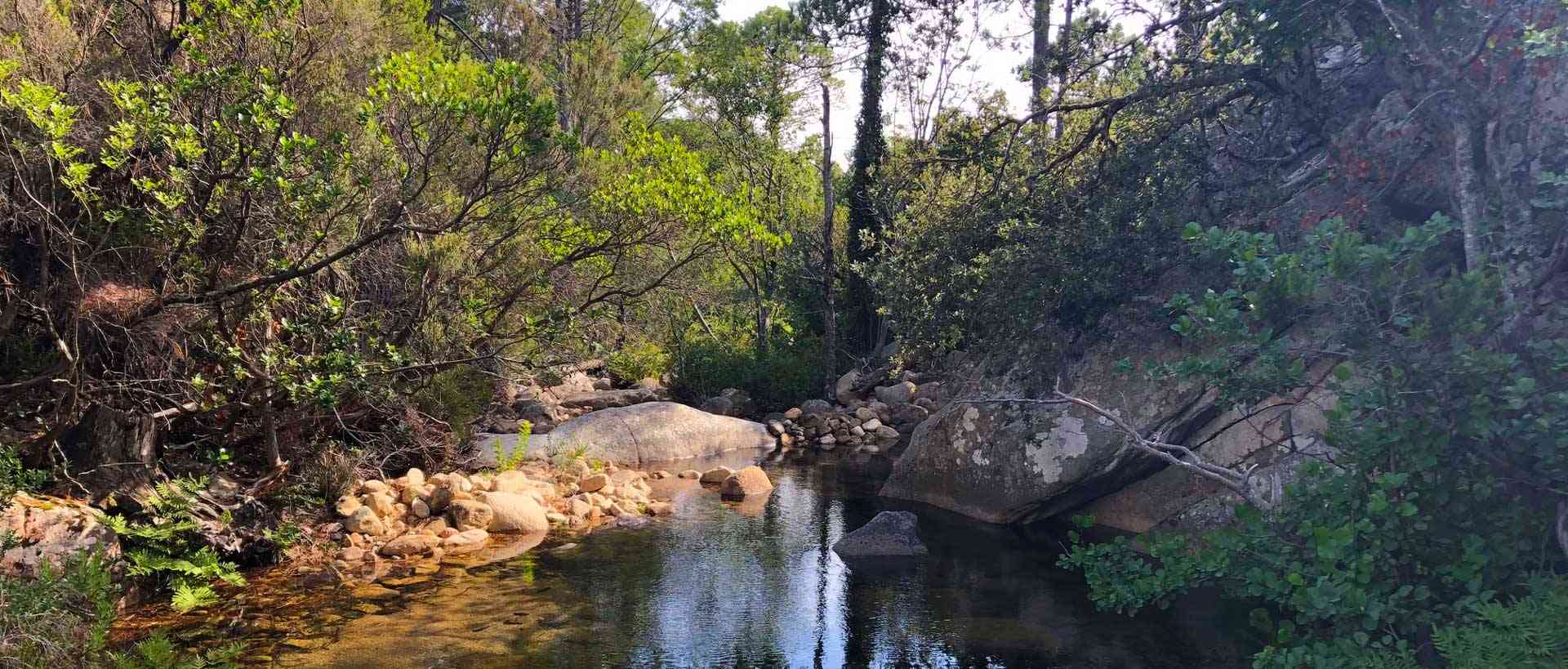 Découvrir Figari | Plan Interactif, Activités et Artisans Locaux, etc.